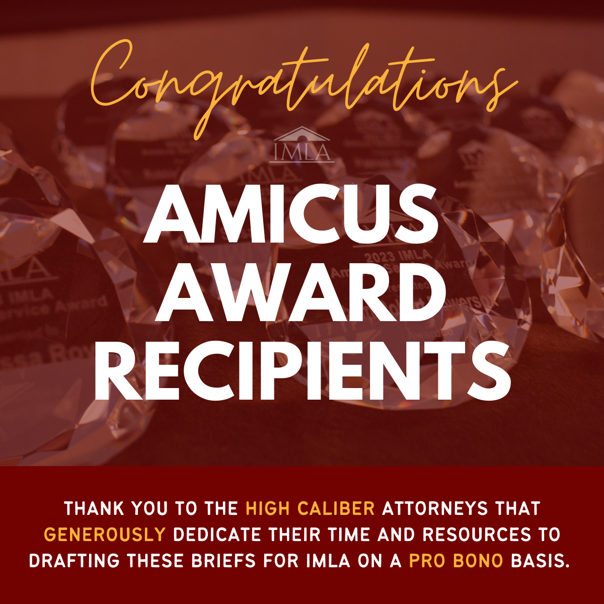 2023 Amicus Award Recipients